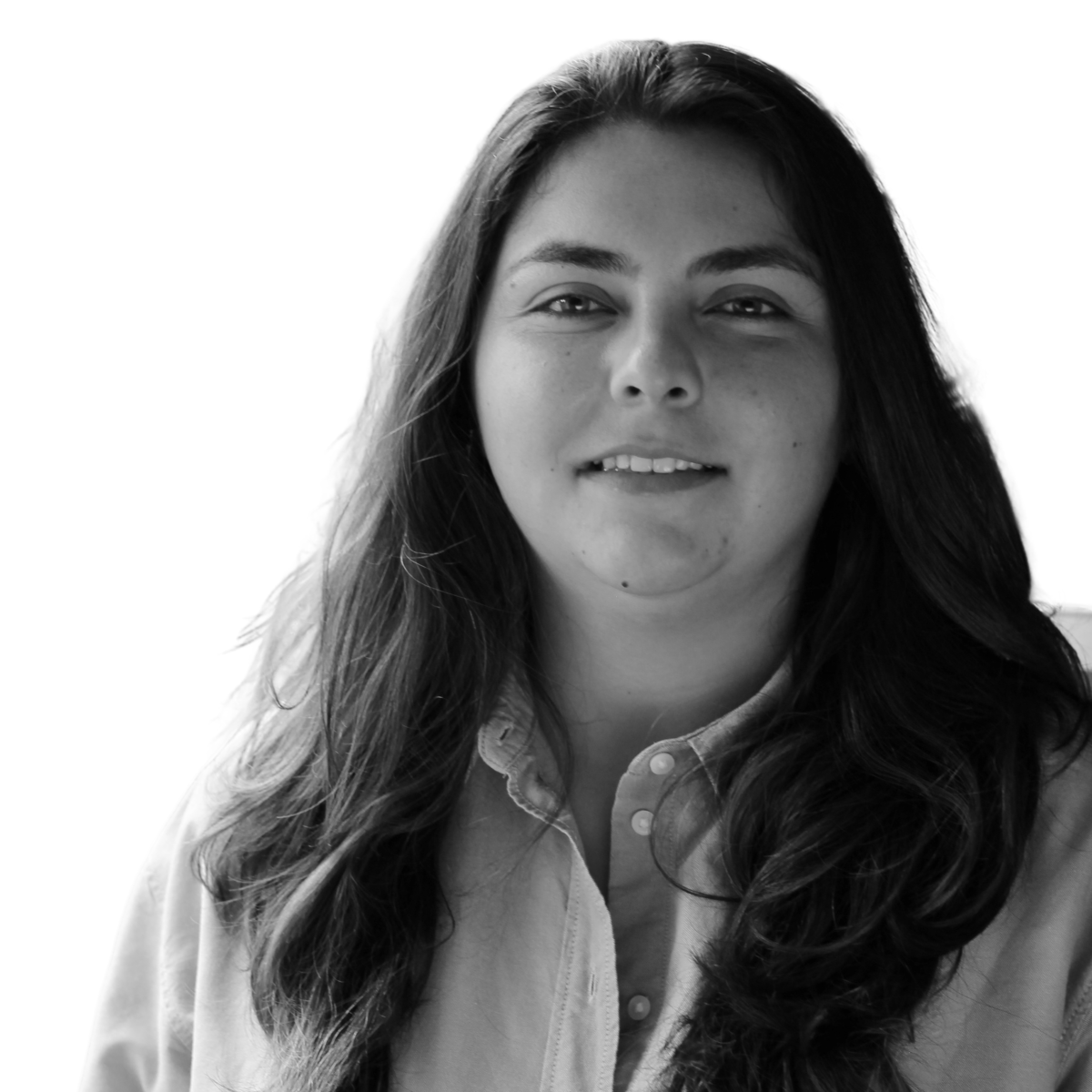 Quienes Somos - Greystone Consulting Group Latinoamérica