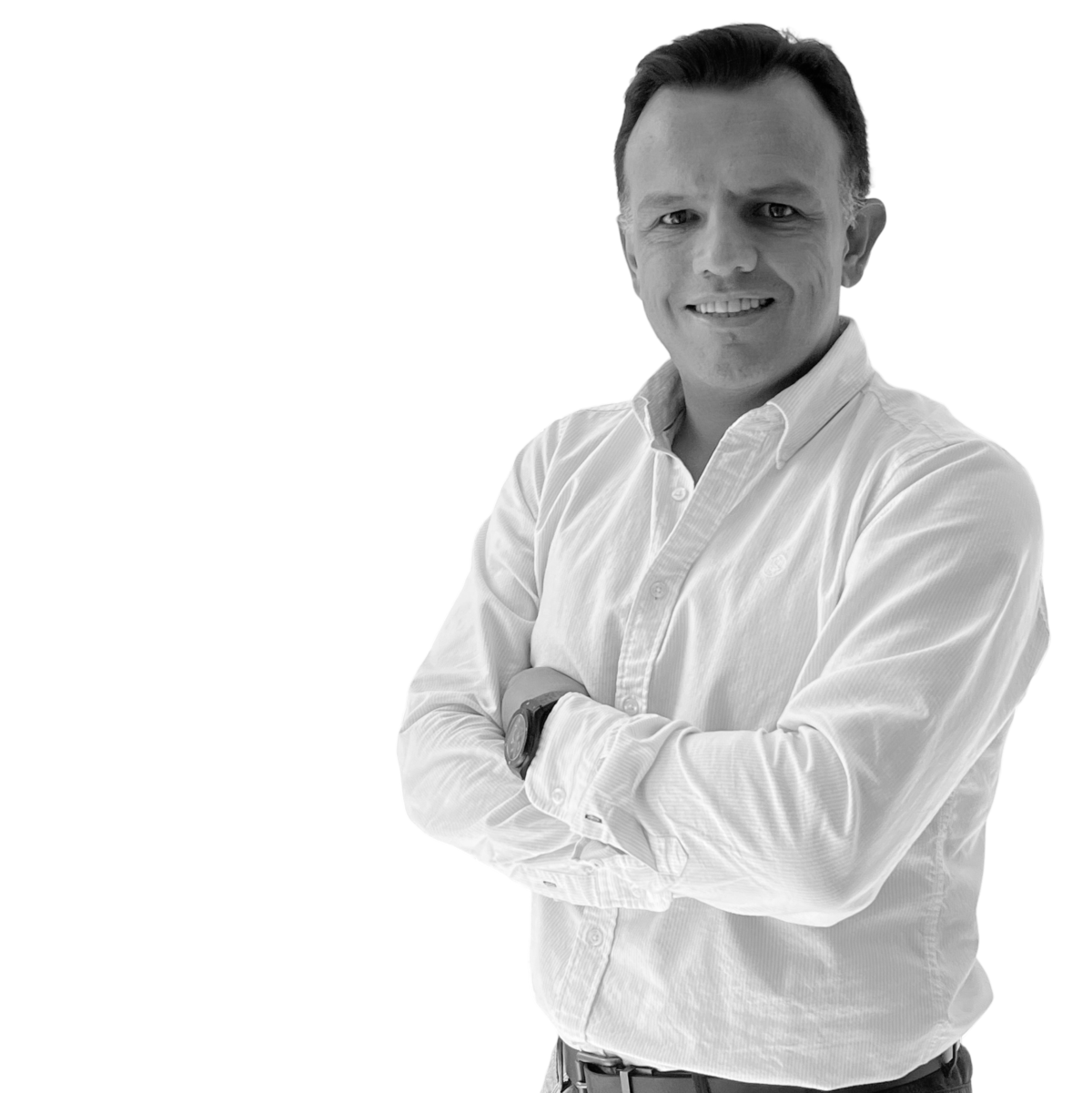 Greystone Consulting Group Latinoamérica - Quienes Somos