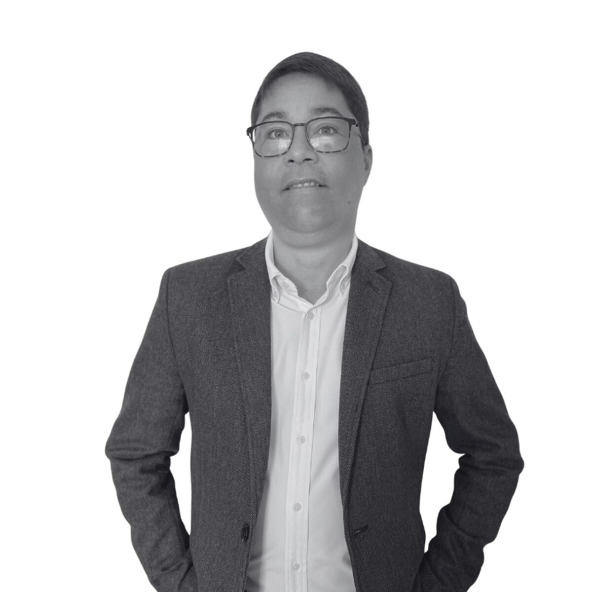Greystone Consulting Group Latinoamérica - Quienes Somos